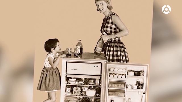 История вещей. Холодильник