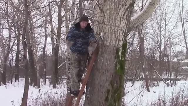 Что лежало в дупле дерева? Был действительно склад!