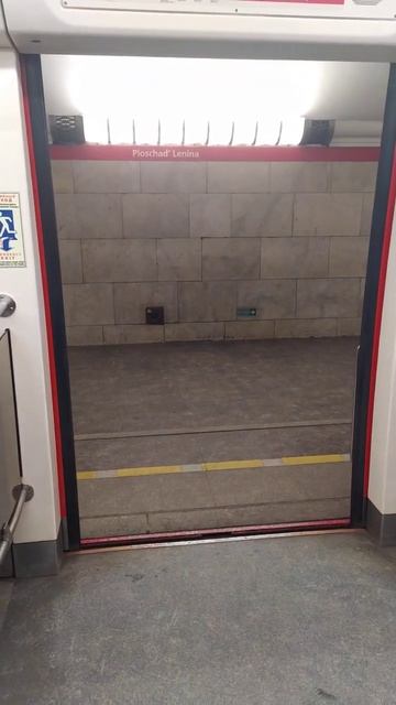 Дамы, дамы, дамы. В кадре только дамы