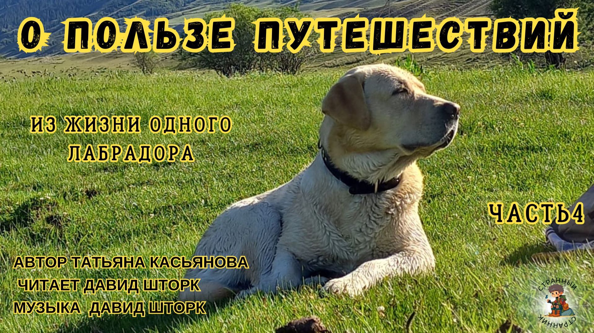 Польза путешествий