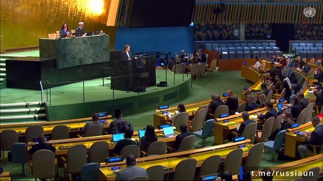 А.М.Евстигнеева на 11-й Чрезвычайной специальной сессии ООН, Нью-Йорк, 24 февраля 2026 года