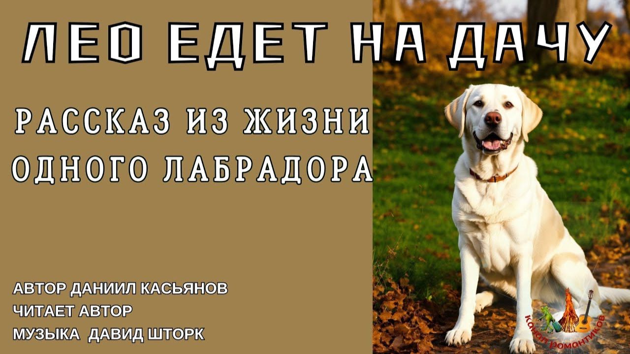 Лео едет на дачу