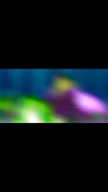 Раджа и Жасмин/edit