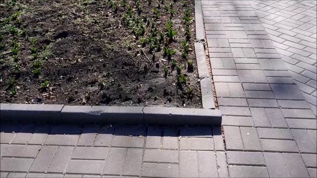 Севастополь в День защитника Отечества. Беглый обзор по пути на встречу.