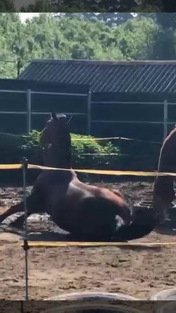 Каждый расслабляется как может