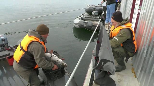 ПОДВОДНЫЕ ОТКРЫТИЯ, 24.02.2026