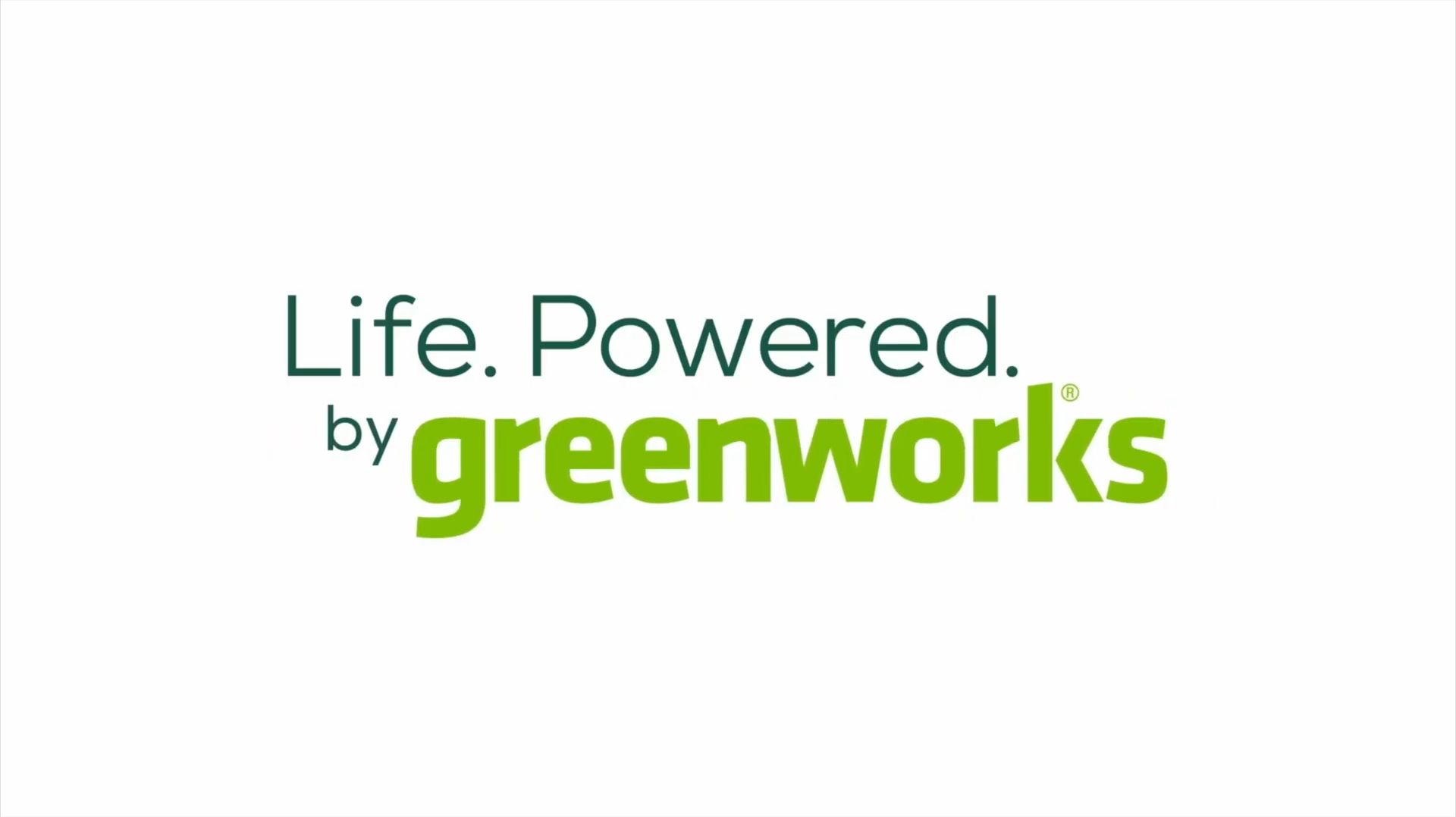 Greenworks PowerAll 24V