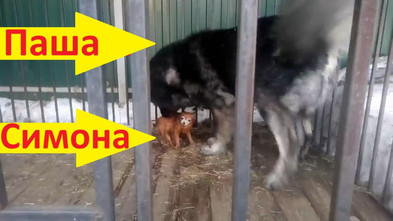 Моя маленькая леди, ты пришла ко мне!