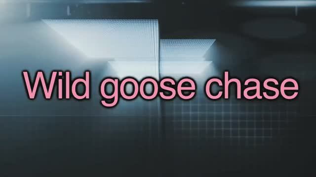 wild goose chase