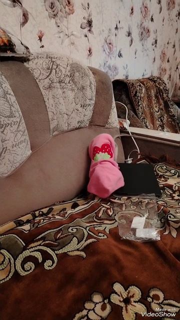 Участник №4. Чопанашвили Амир - "Быть котом не так уж плохо"