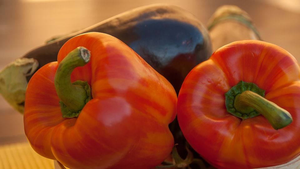 ОБЗОР РАССАДЫ ПЕРЦА