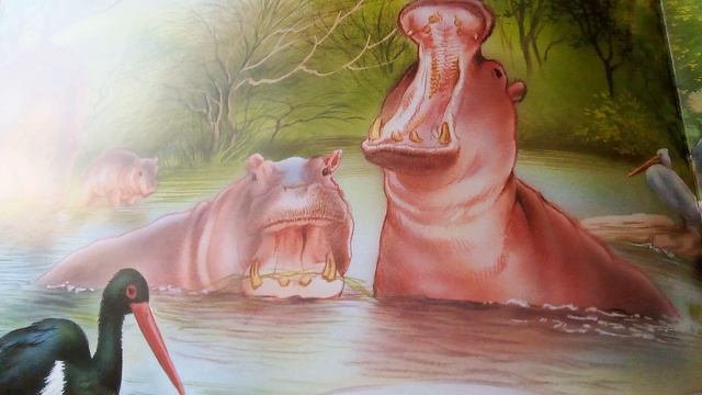 Интересный журнал " Познавательное чтение в Африке ". Очень интересный видос про животных.