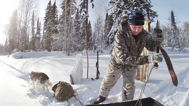 Проверка путика # 7. Ставлю капканы на лису.