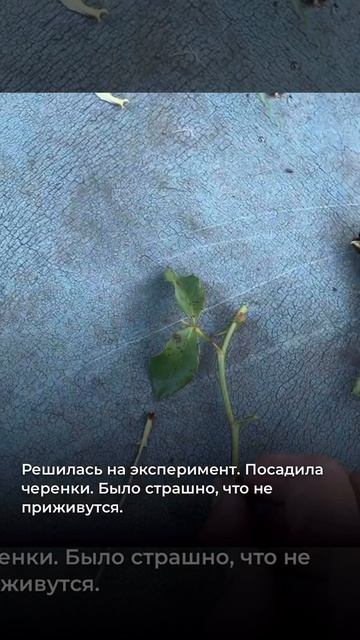 Она могла умереть через 3 дня