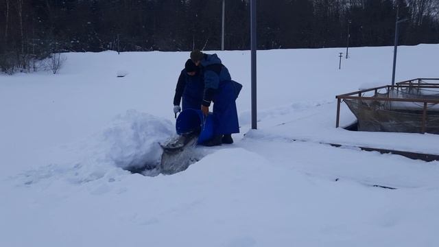 зарыбление 24.02