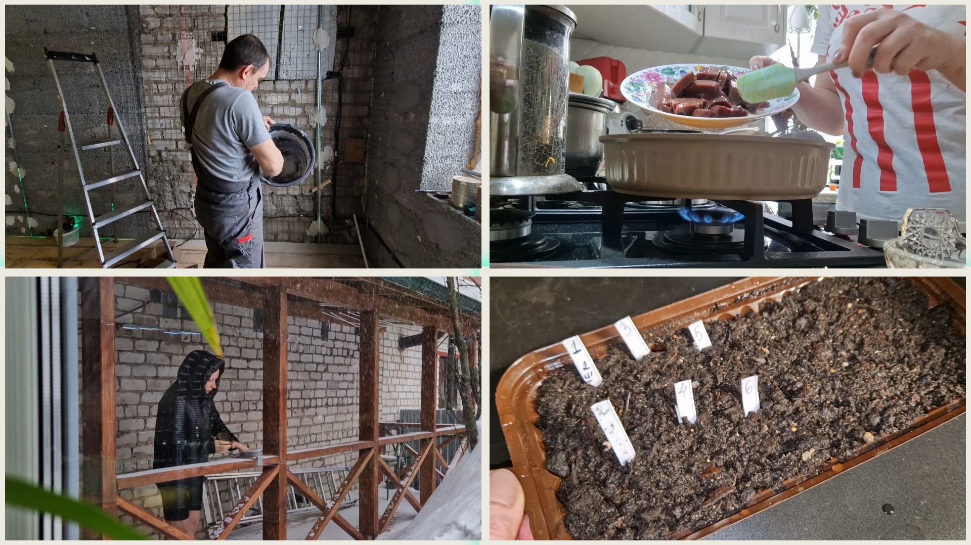 Работы в дубае. Ужин из чего есть без лука.  Больше не купим. Нет всходов!