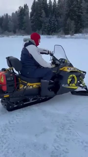 Электрический снегоход ELIQ Тикси, отзыв