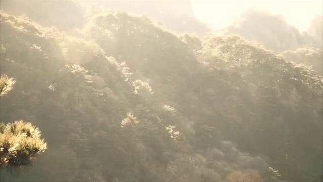 SILAGAR | NIKA | Не беспокойся ...