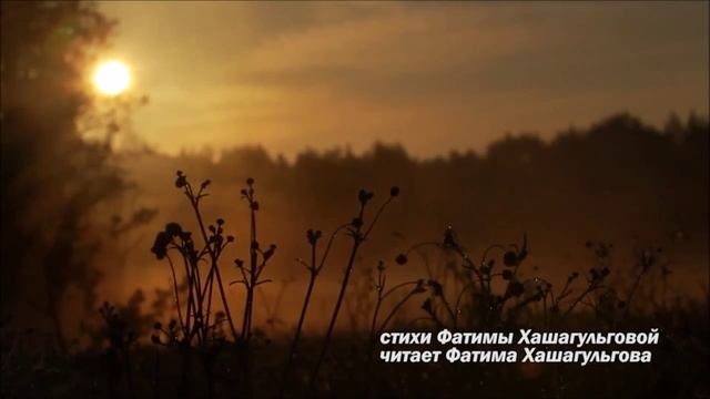 УТРО ИНГУШЕТИИ  250226