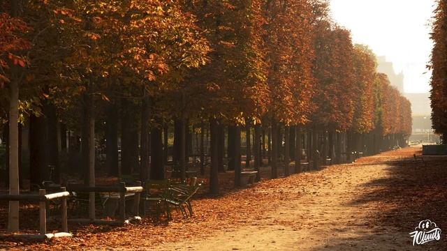 Joe-Dassin-Et-si-tu-n-existais-pas-Paroles-Lyrics