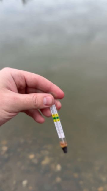 24.02.2026 температура воды в реке Понура .