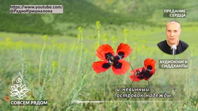 Совсем рядом. Аудиокниги Сиддханты (Вячеслава Чернина).mp4