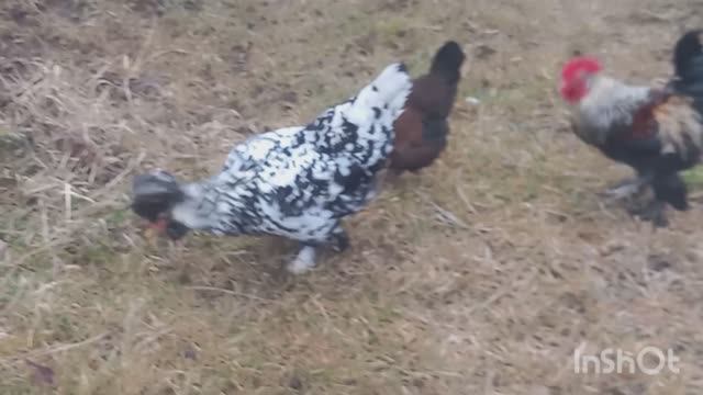 24 февраля. Утро. Почти весна.