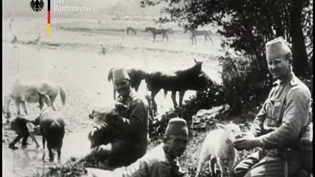 1915. Сюжеты из разных журналов за 1915 г. времен ПМВ -  Messter Woche newsreel 1915