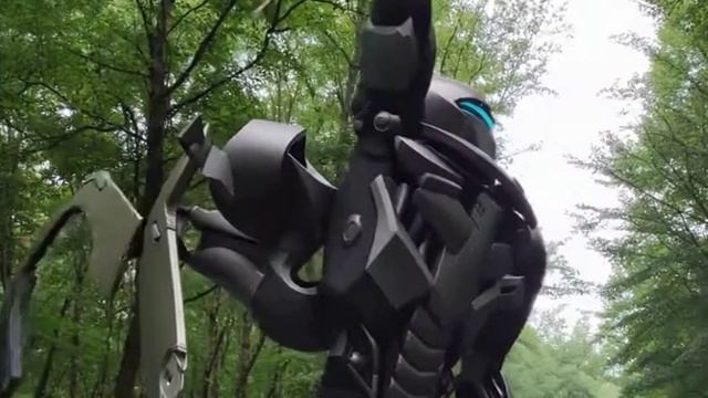 Функарго -ниндзя