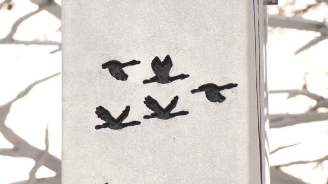 Депутат Валерий Аверинский поблагодарил защитников Отечества за подвиги. Панорама 24.02.26