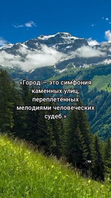 #мысли #цитаты #katyboro #афоризмы #топ #рек #рекомендации #врекомендации #умныемысли #viral