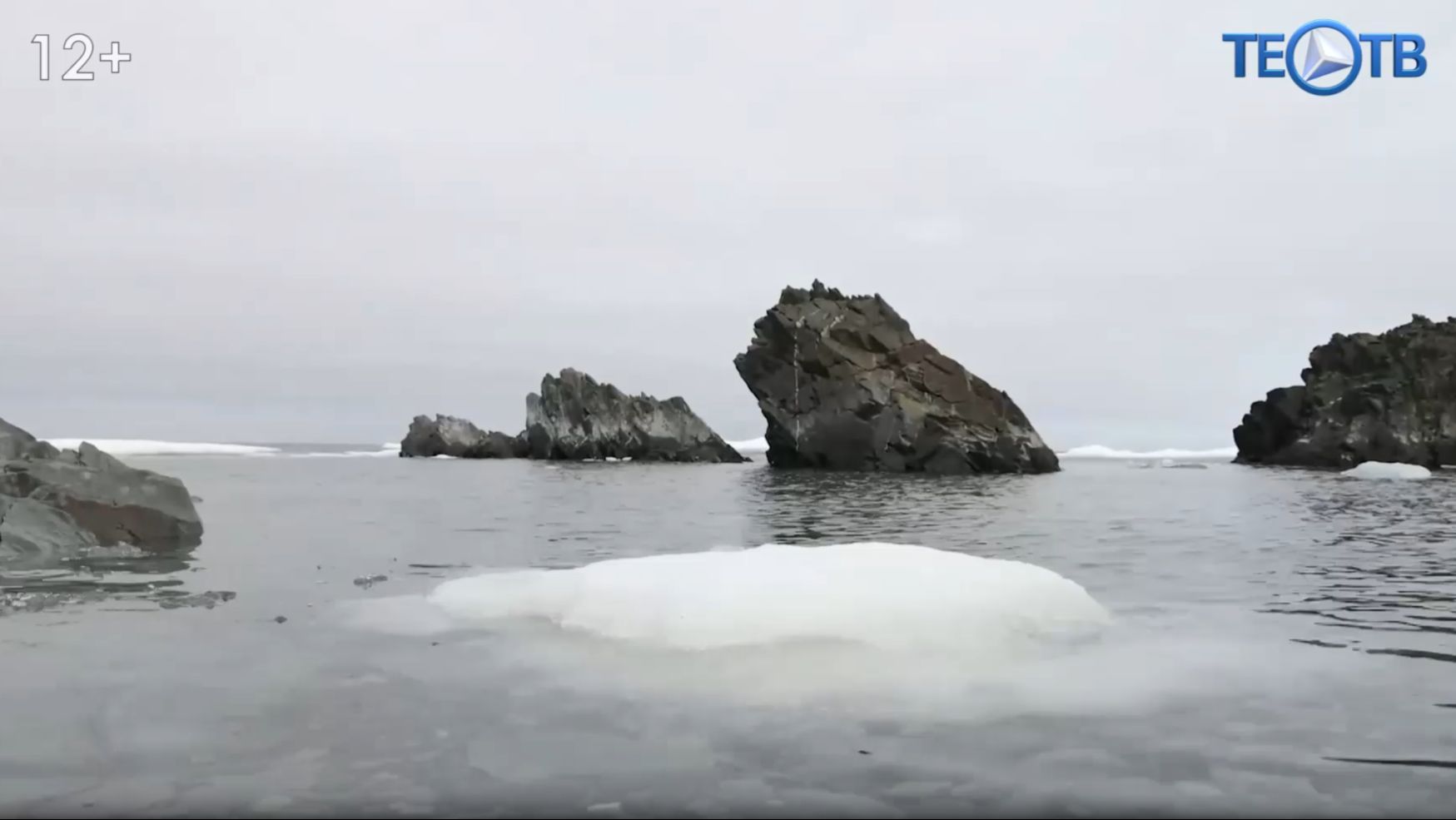 В Москве идёт отбор в Большую арктическую экспедицию