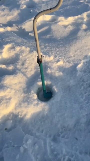 Зимняя рыбалка! #лёд #озеро #рыбалка #щука #зима