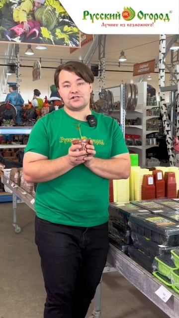 У вас вытягивается рассада? Вот 5 причин, почему это может произойти.