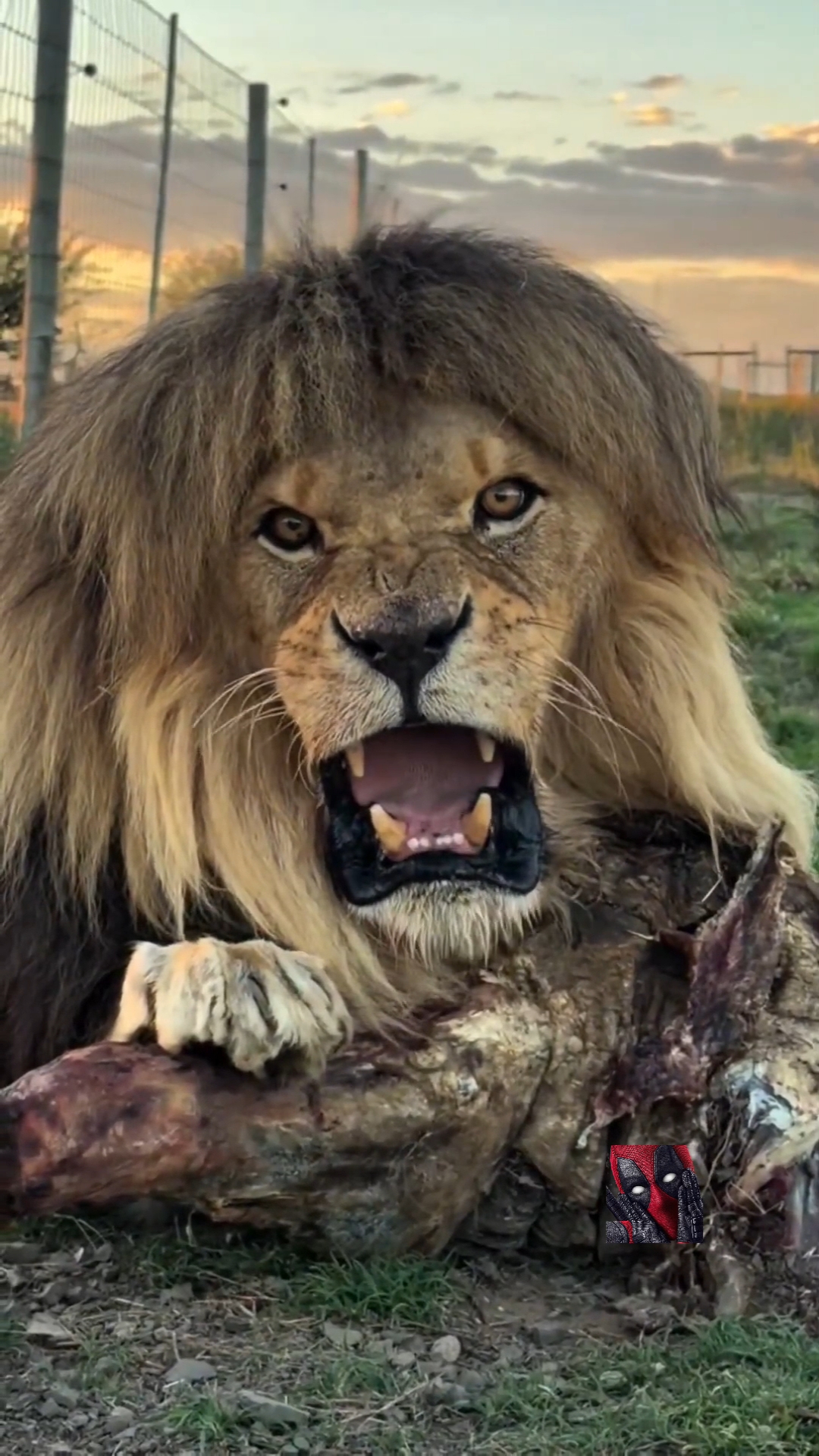 Весенний ЗзОов ✓ А ты купил подарок к 8 Марта??? 👇🫶🥰🫶😼