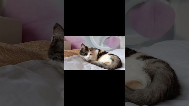 Рассказ - "Страшный дождь"