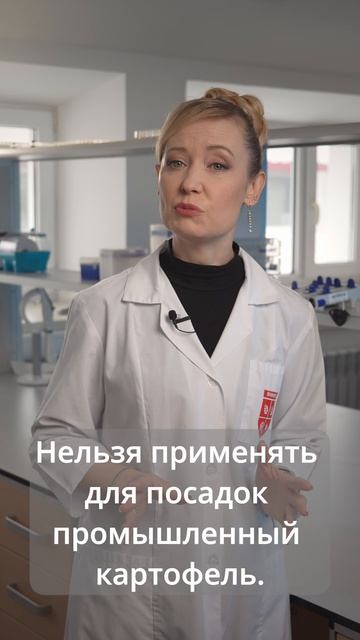 Как защитить свою картофельную плантацию от болезней и вредителей?