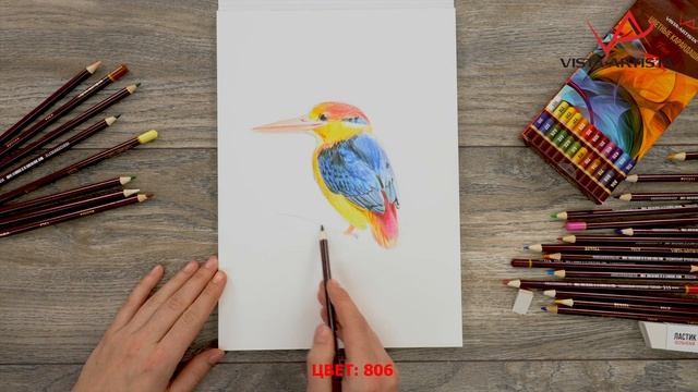Рисунок цветными карандашами "Зимородок"