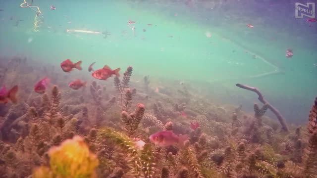 KUGOO wish 02, 4 ноября 2025 озеро Кроянское.