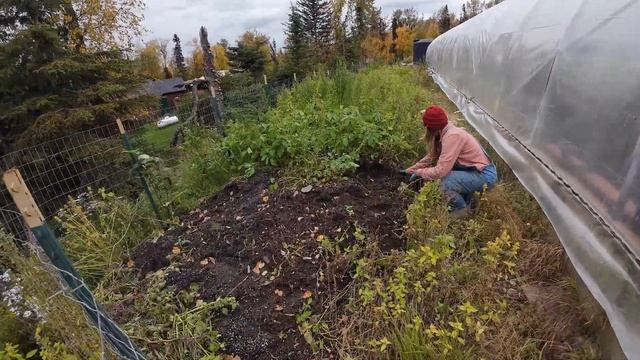 Как мы на Аляску летали. Рыбалка, баня, староверы(PGLive)