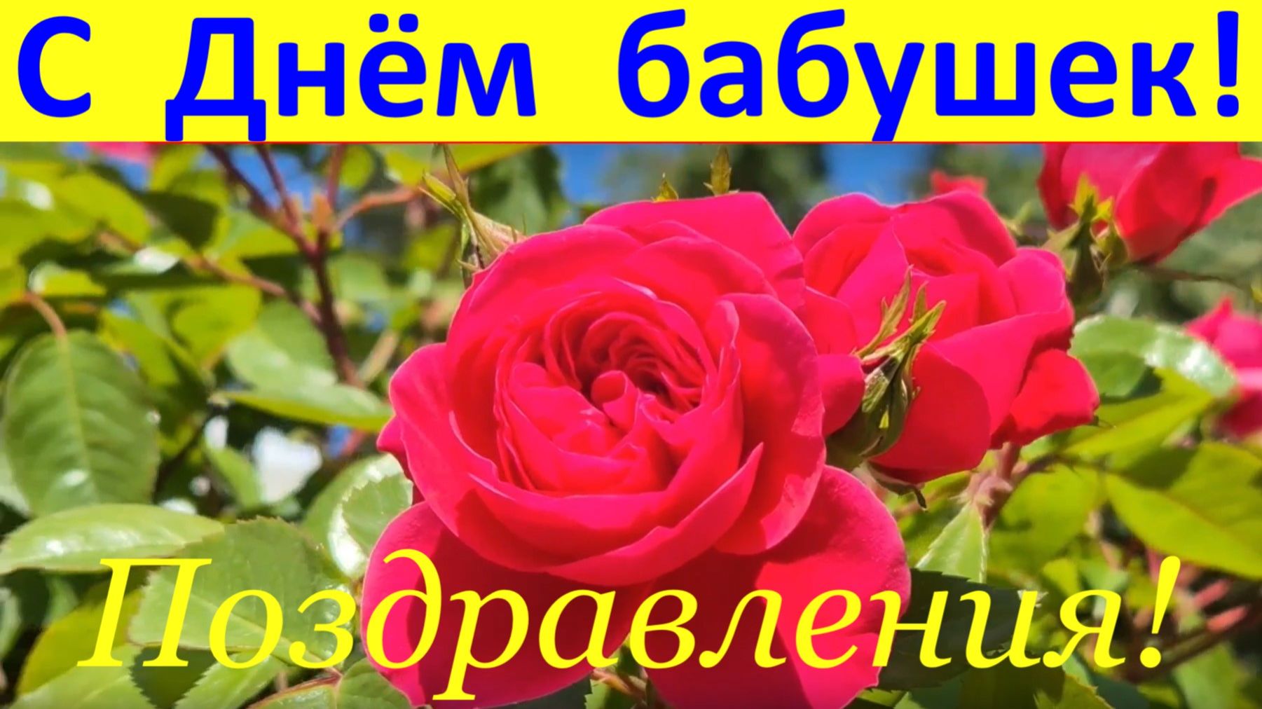 Поздравление с Днём бабушек от внучки!