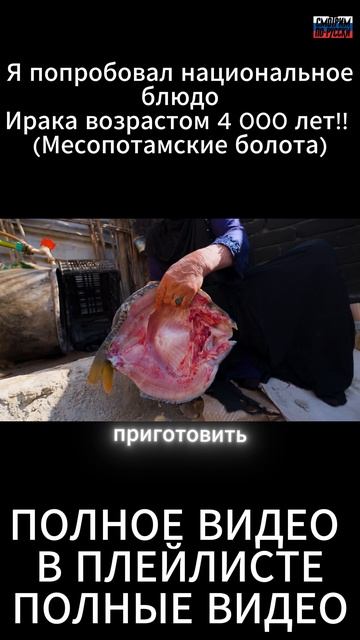 Я попробовал национальное блюдо Ирака возрастом 4 000 лет!! (Месопотамские болота) ЧАСТЬ 4/8