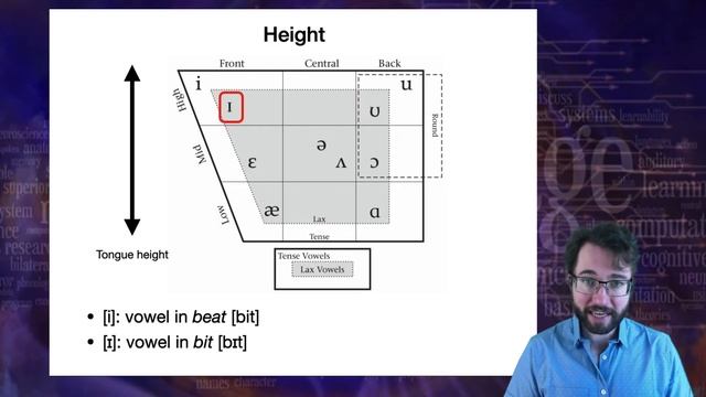 Introduction to Linguistics 4： Phonetics 2