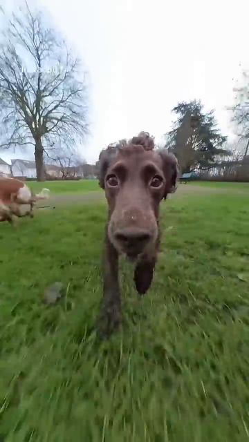 THE FLASH ⚡️ #shorts #edm #rave #viral