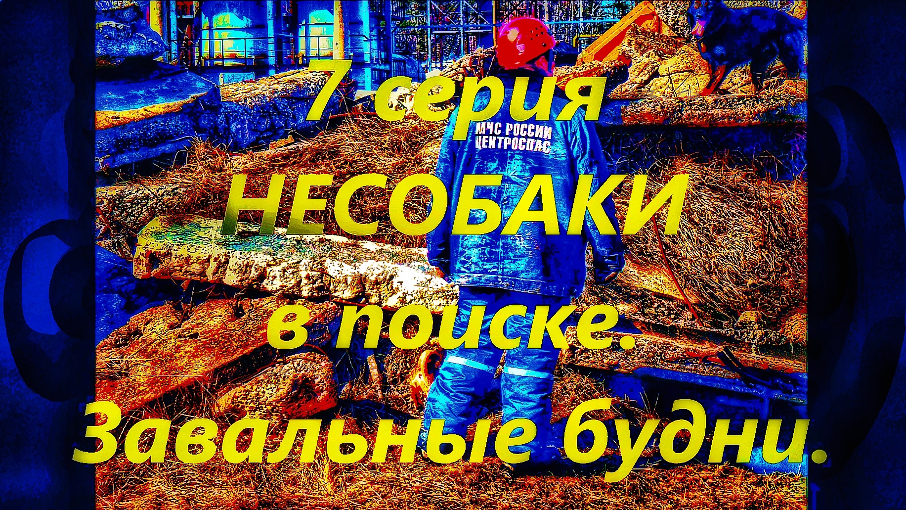 История одной НЕСОБАКИ.  7 серия " НЕСОБАКИ в поиске".       Часть 1  Завальные будни.