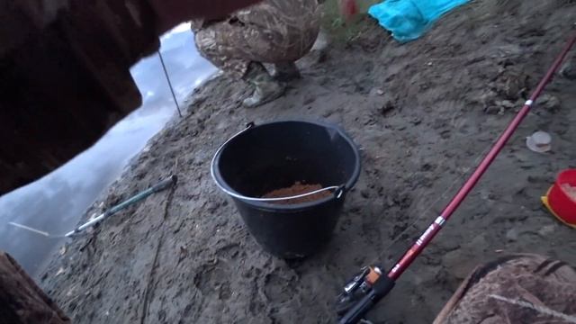 Поездка на рыбалку #8 - Хороший улов (Лещ)