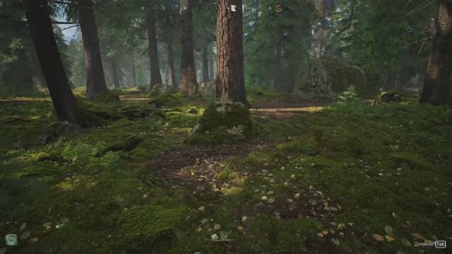 Симулятор Грибника Demo / Собираем МУХОМОРЫ в лесу