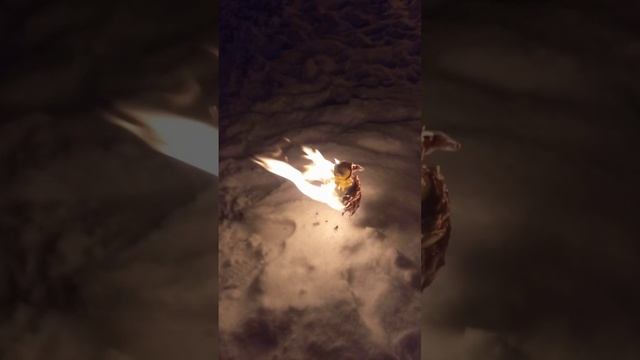 Масленица "Прощение воскресенье" 22022026 Прости меня