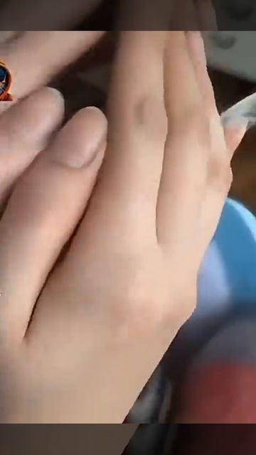 Приколы с кошками.