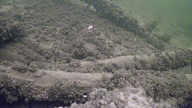 Подледная рыбалка